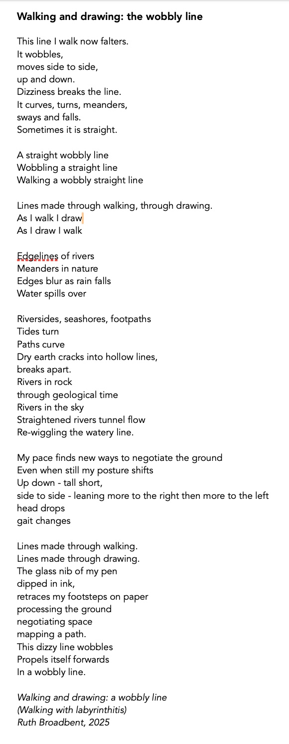 Walking and Drawing: A Wobbly Line - Ruth Broadbent